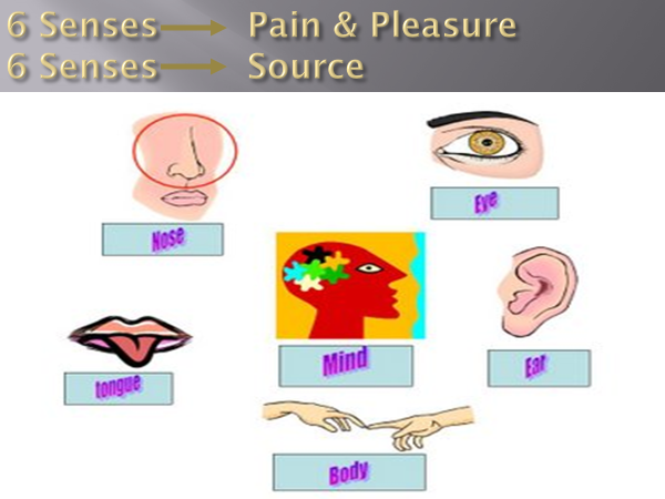 The 6 Senses The Compassion Network The 6 Senses The Compassion Network